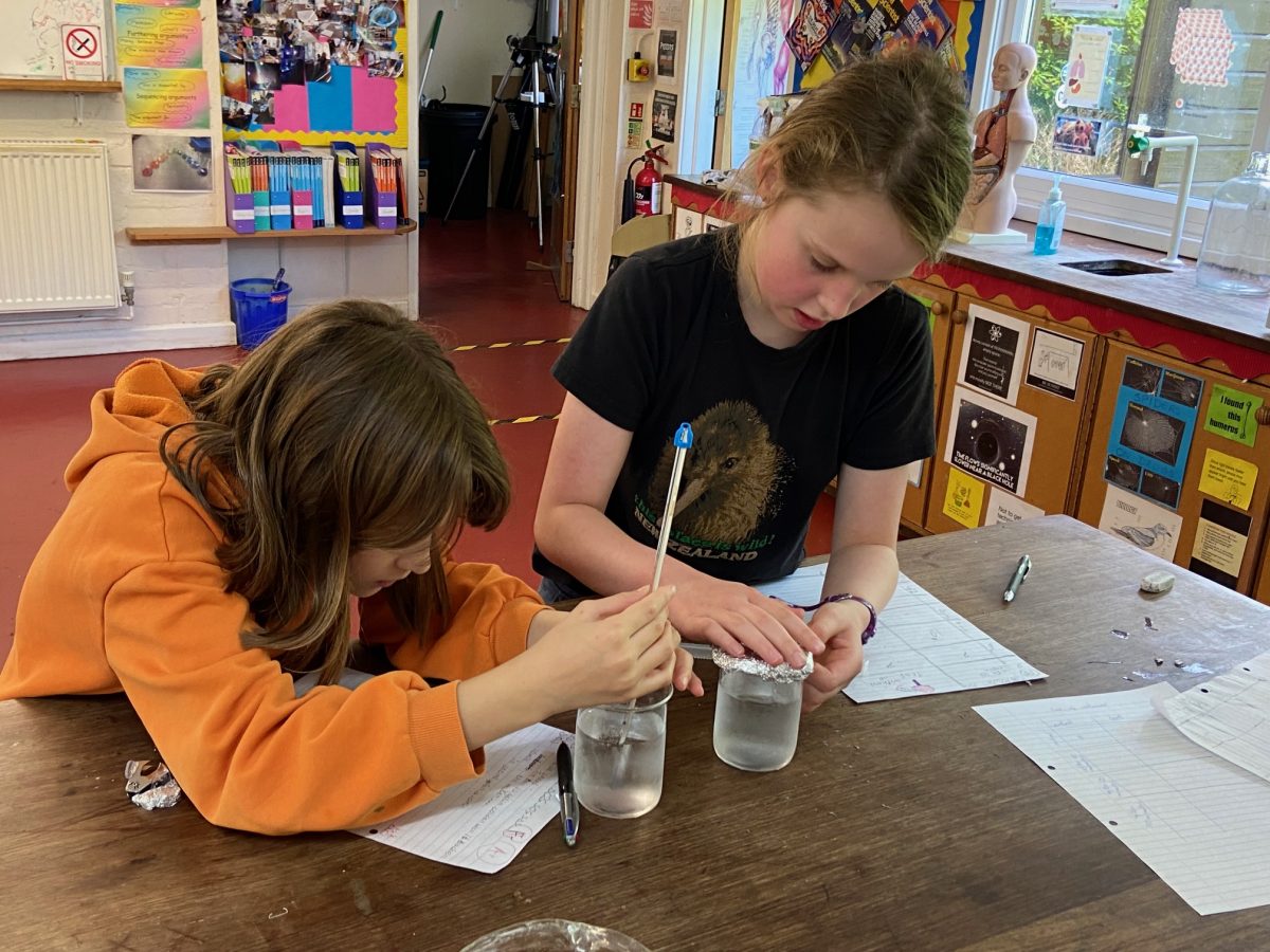 Class 2 – A.S. Neill Summerhill School